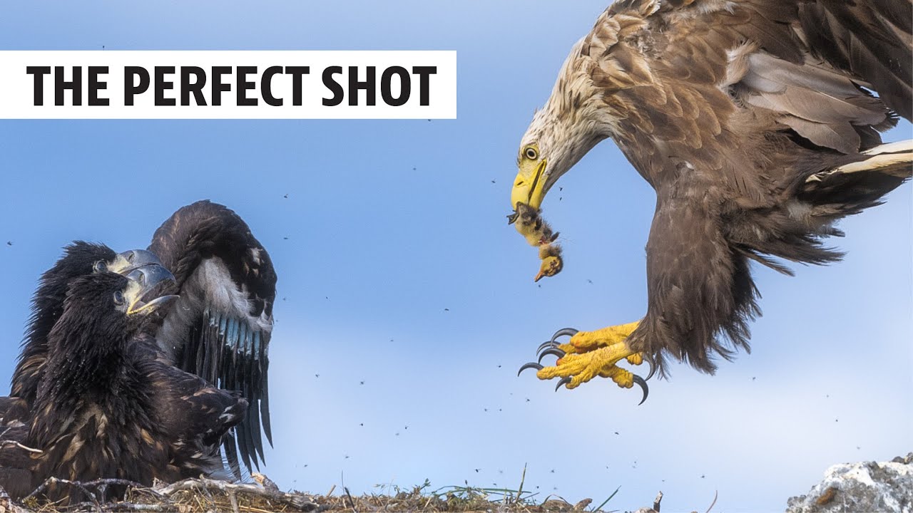 The Perfect Shot - Photographing Iceland