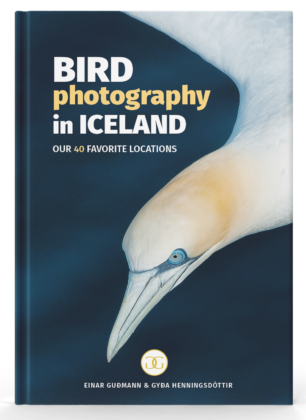 Floating bird hide photography - Photographing Iceland