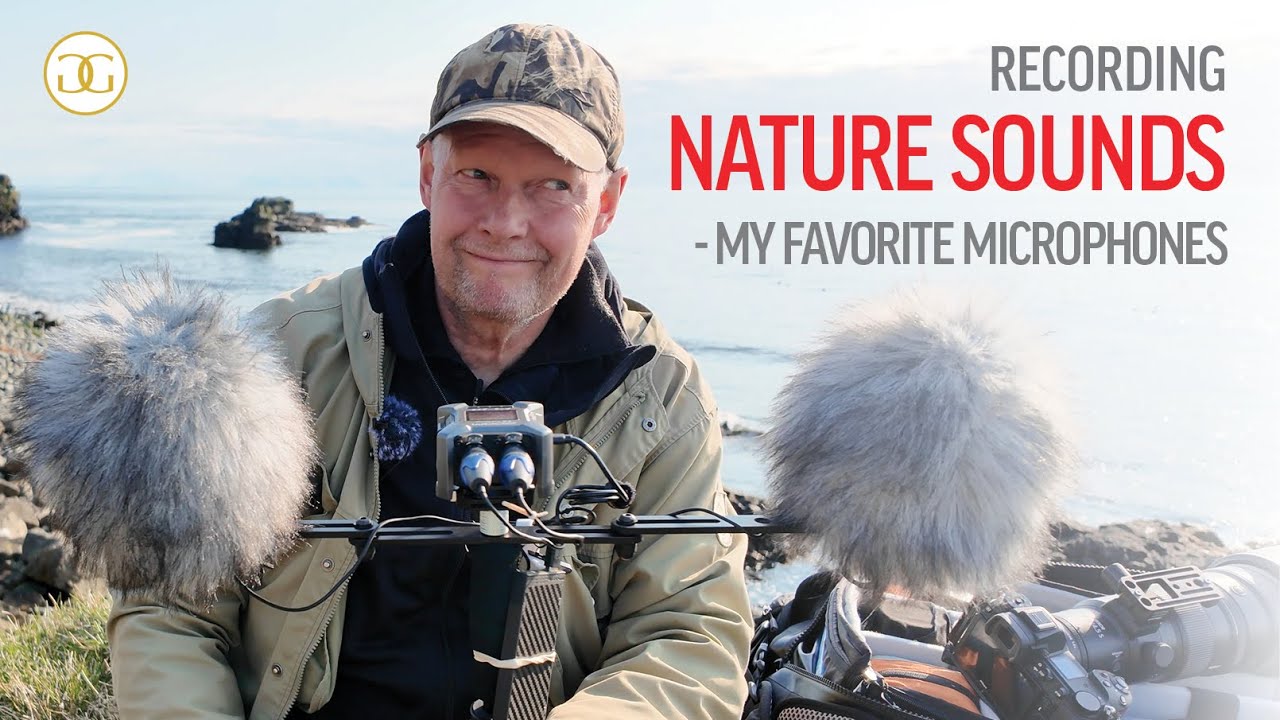 Recording Nature Sounds - My Favorite Microphones - Photographing Iceland